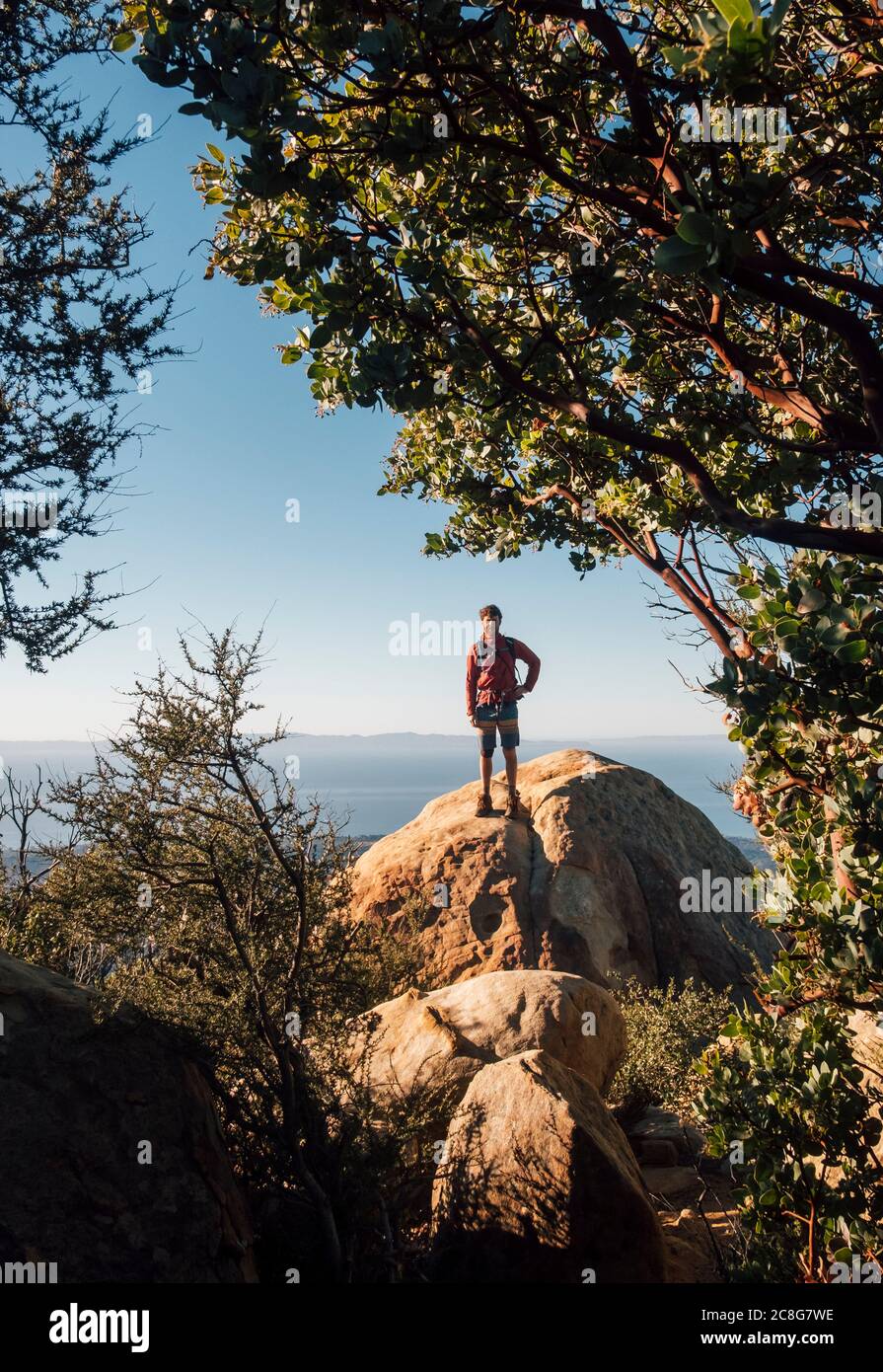 Tree on ledge hi-res stock photography and images - Alamy