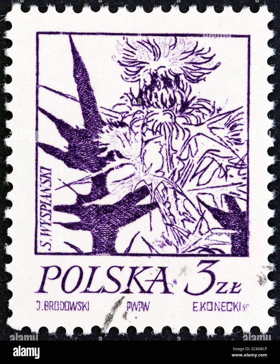 POLAND - CIRCA 1974: A stamp printed in Poland from the "Flowers ...
