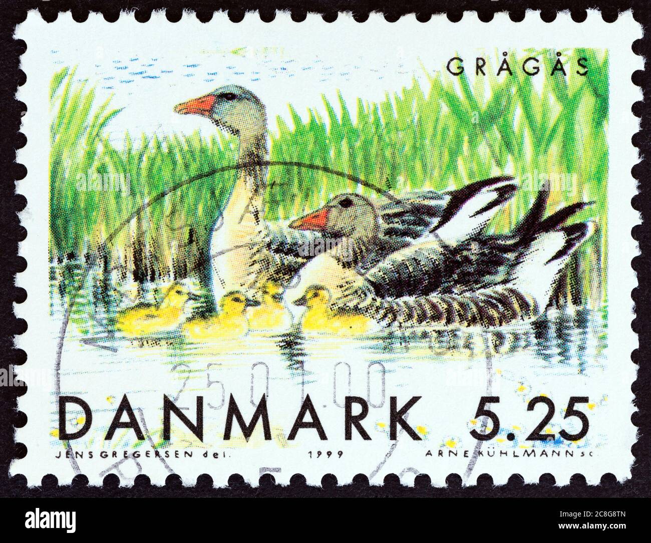 DENMARK - CIRCA 1999: A stamp printed in Denmark from the "Migratory ...
