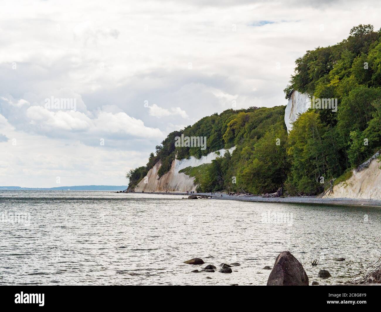 Kreidefelsen auf Rügen im Nationalpark Jasmund zwischen Sassnitz und ...