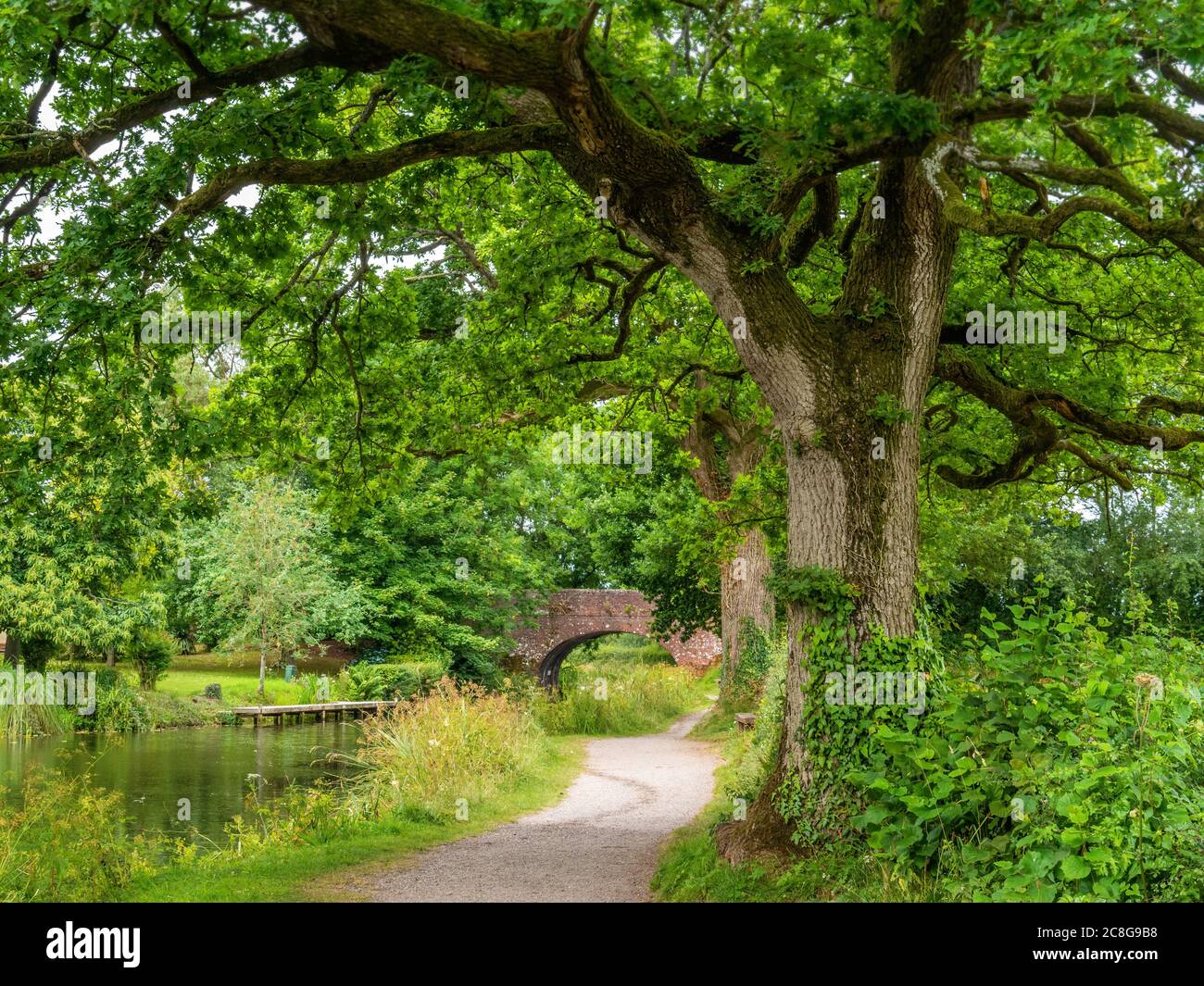 The scenic and beautiful Grand Western Canal, Tiverton, Devon, UK. With ...