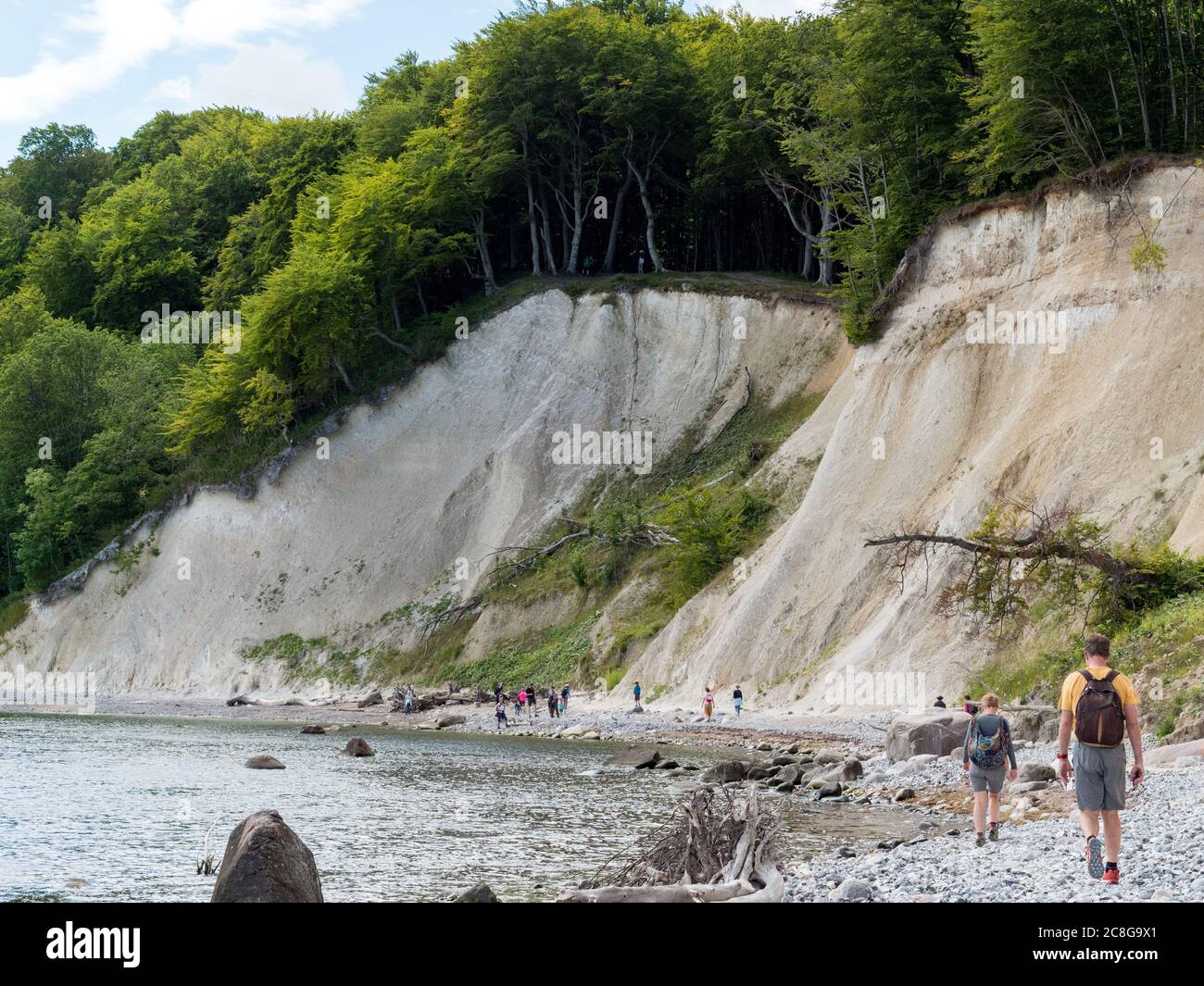 Kreidefelsen auf Rügen im Nationalpark Jasmund zwischen Sassnitz und ...