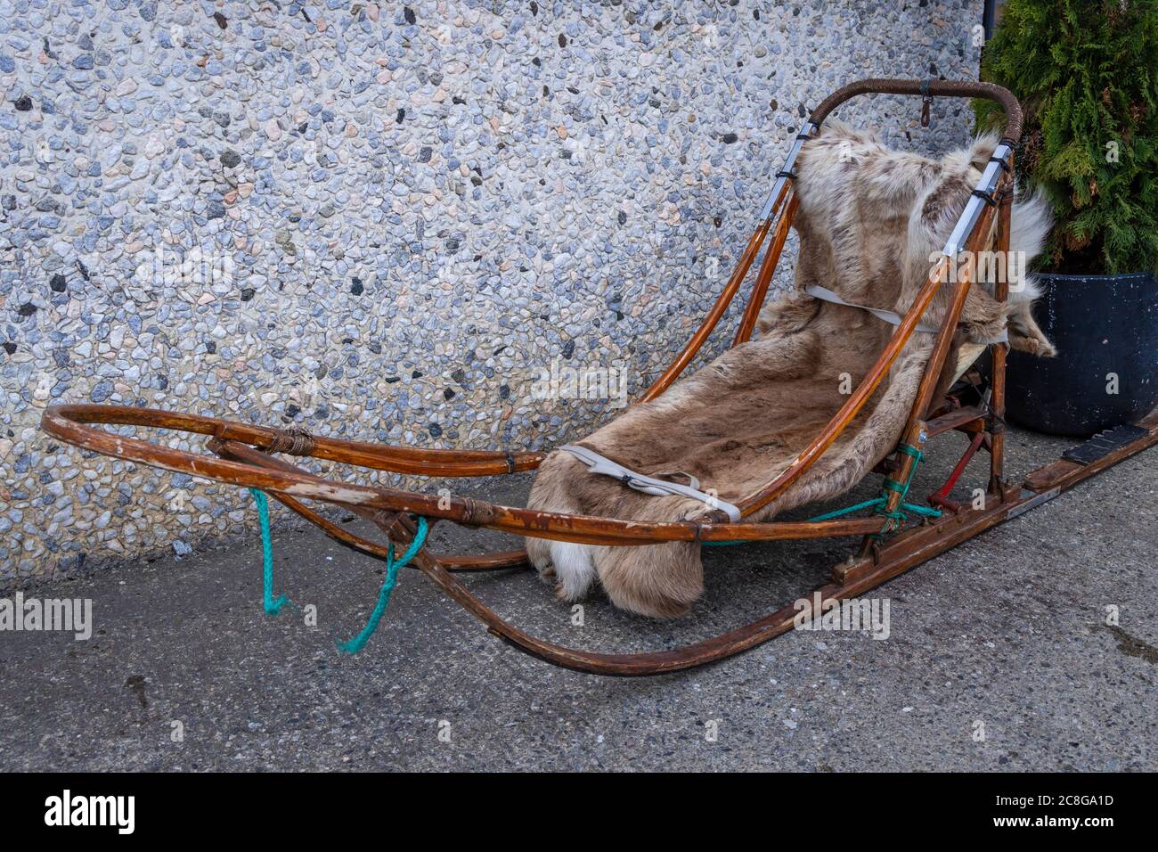 Long reindeer hi-res stock photography and images - Alamy