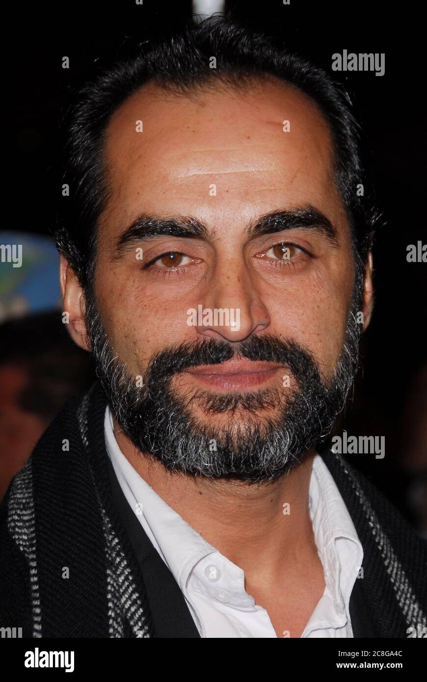 Navid Negahban at the World Premiere of "Charlie Wilson's War" held at ...