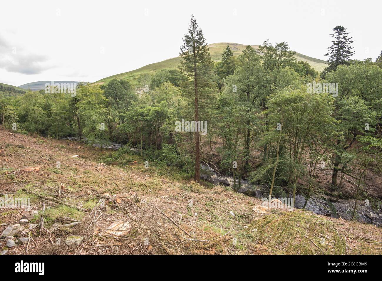 Barbon manor hi-res stock photography and images - Alamy