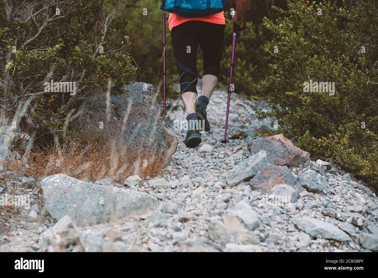 Adventurer man. Hiking with backpack and mountain sticks Stock Photo ...