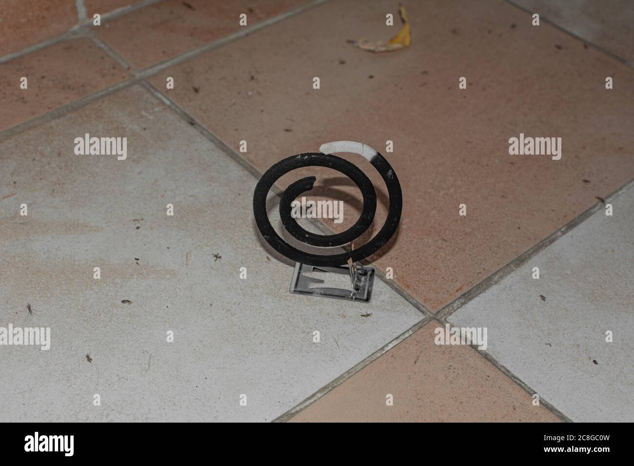 Burning insect mosquito coil on the floor outdoors. Dead mosquitoes lie ...