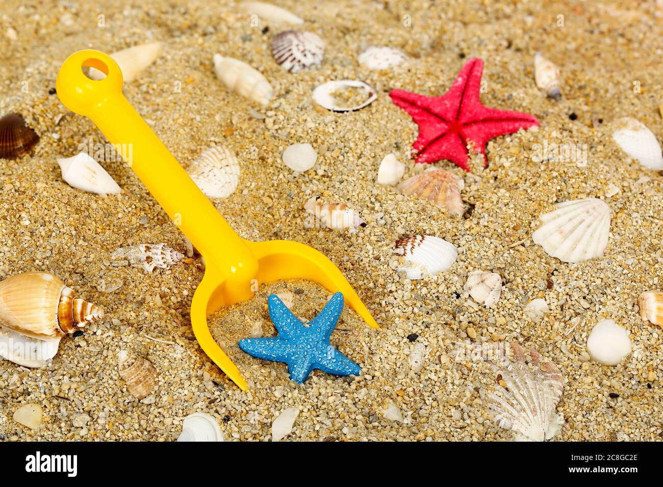 yellow toy shovel with starfish on sand with seashells Stock Photo - Alamy