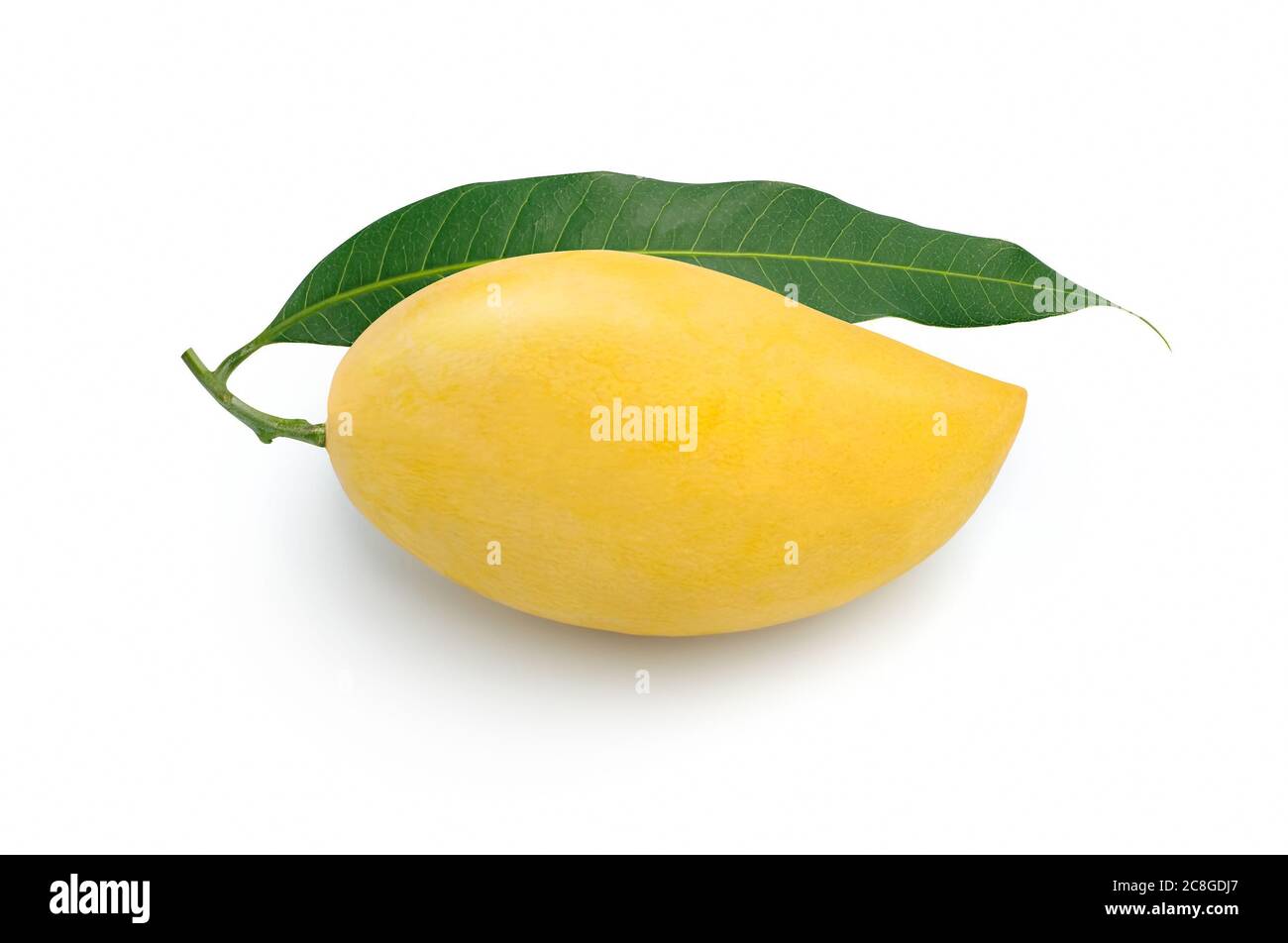 Ripe yellow mango and leaf isolated on white background, One whole ...