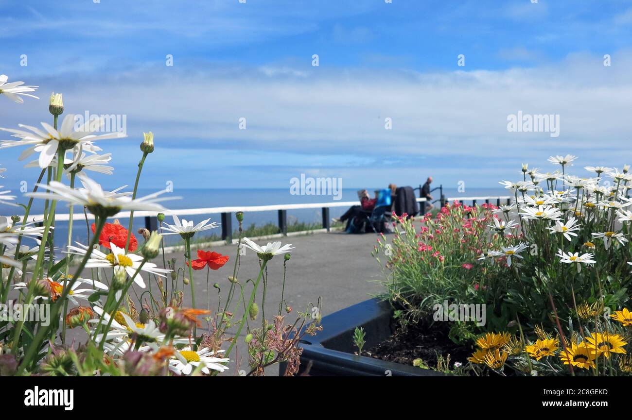 Couple enjoying breathtaking view hi-res stock photography and images ...