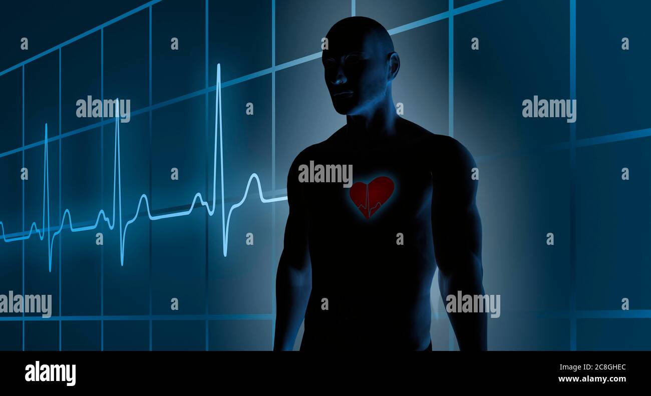 Digital Composing, ECG in front of body silhouette, symbolic picture ...