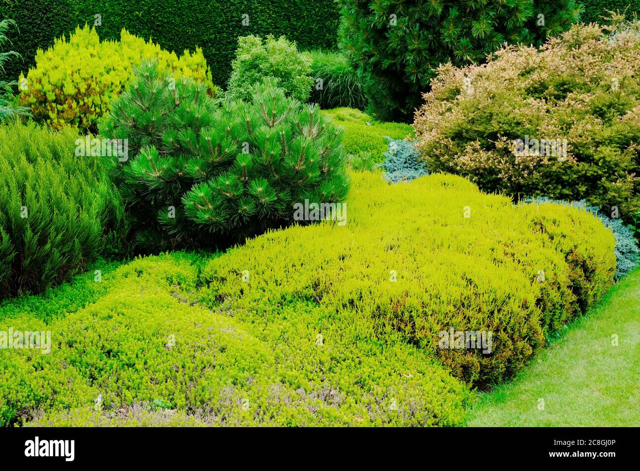 Evergreen border hi-res stock photography and images - Alamy