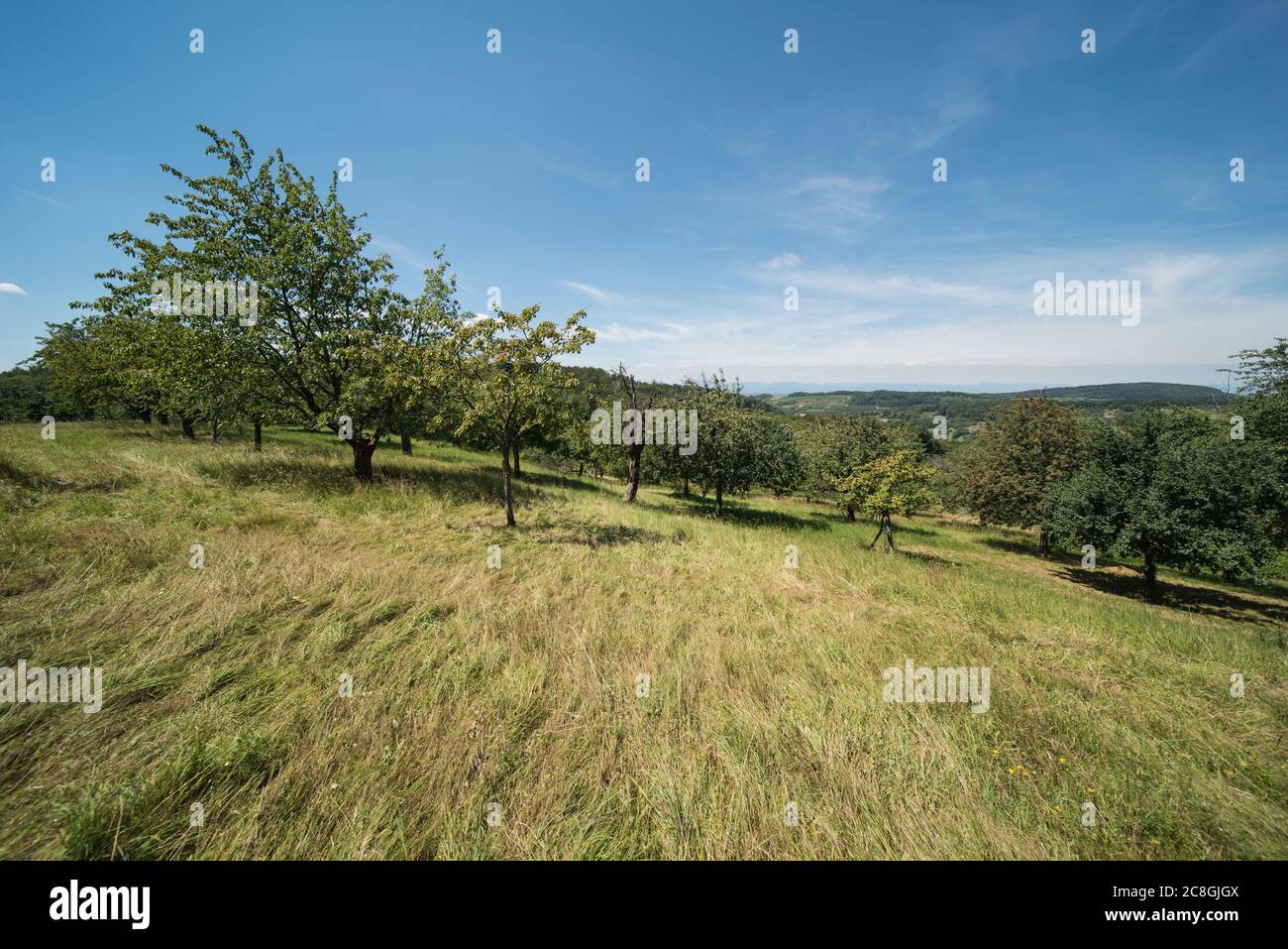 landscape in summer in southern Germany near Kandern Stock Photo - Alamy