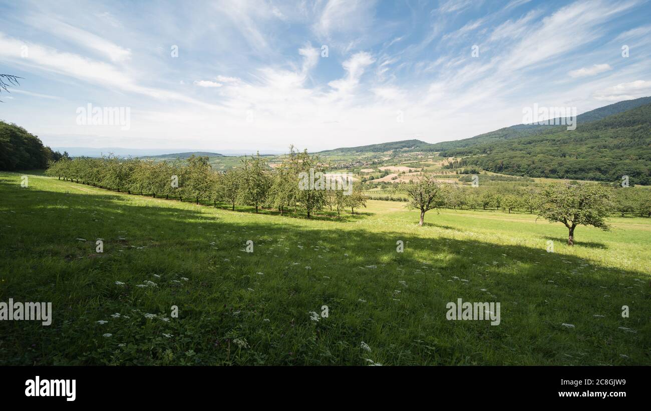 landscape in summer in southern Germany near Kandern Stock Photo - Alamy