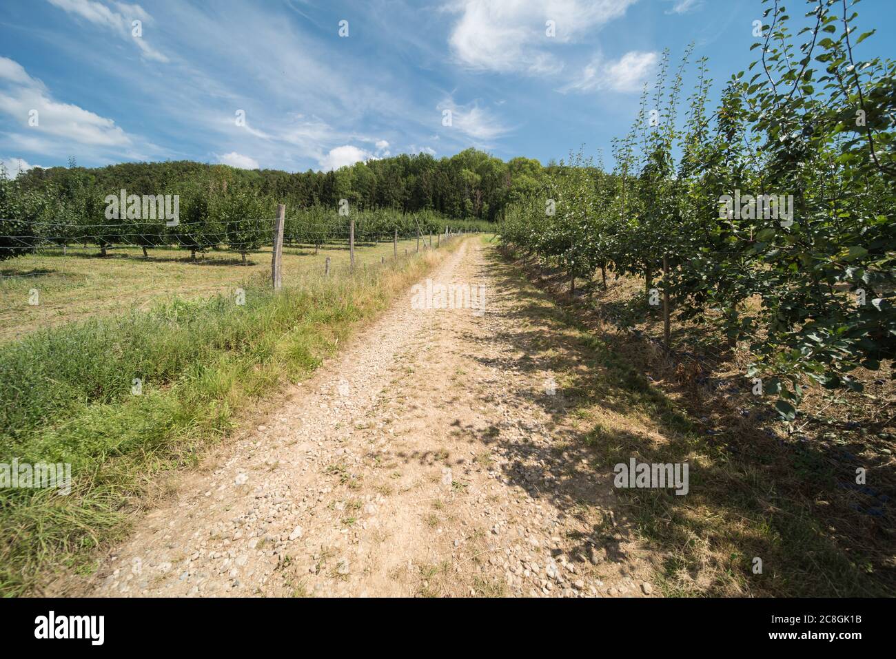 landscape in summer in southern Germany near Kandern Stock Photo - Alamy