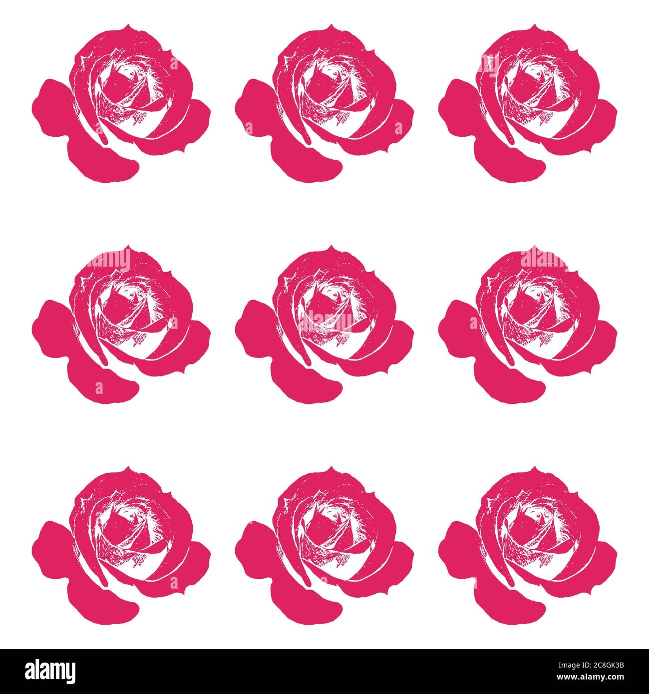 Abstract rose flower pattern fuchsia color illustration white ...