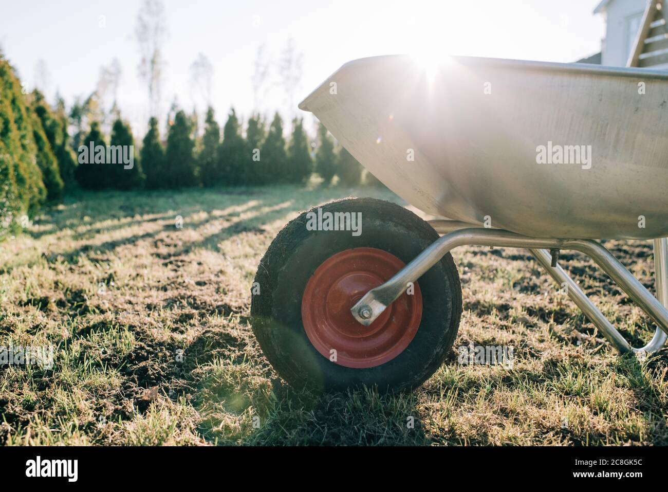 front wheel of a wheelbarrow on a grass lawn at sunset Stock Photo - Alamy