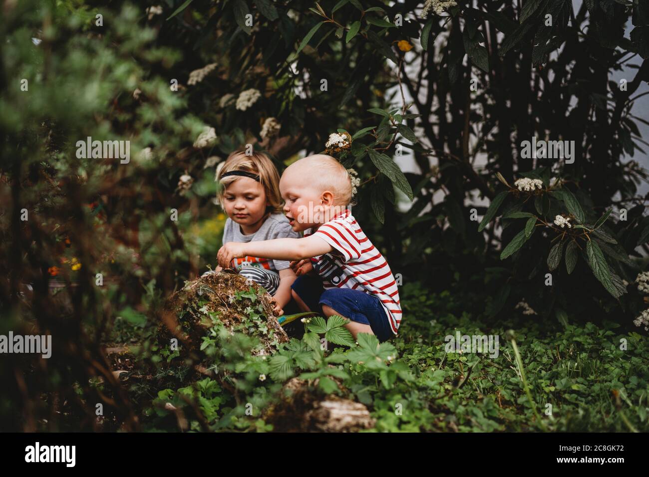 Side view of kids discovering insects in the garden Stock Photo - Alamy