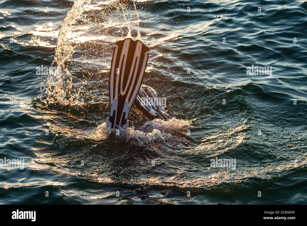 Flippers in water at sunshine. Active vacation at sea Stock Photo - Alamy