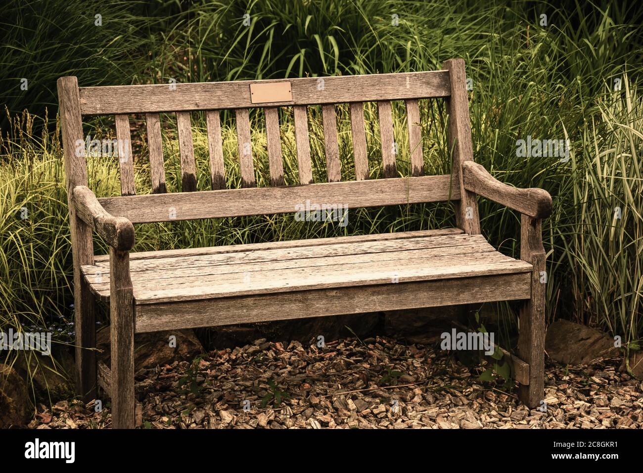 Vacant antique bench. Conception of nostalgia and loneliness. Alone ...