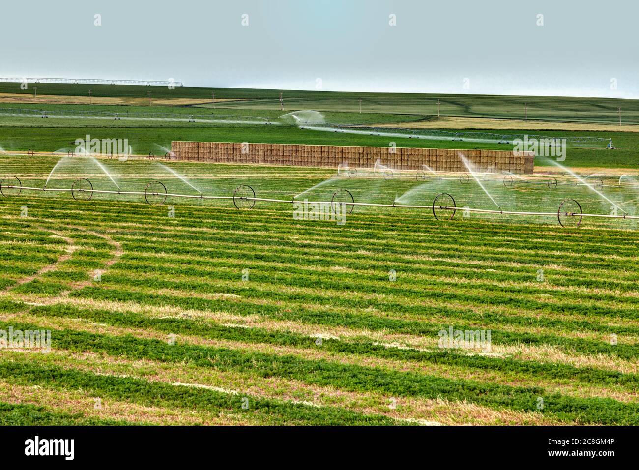 Hand Line Irrigation System Morning View Of A Hand Line Sprinkler