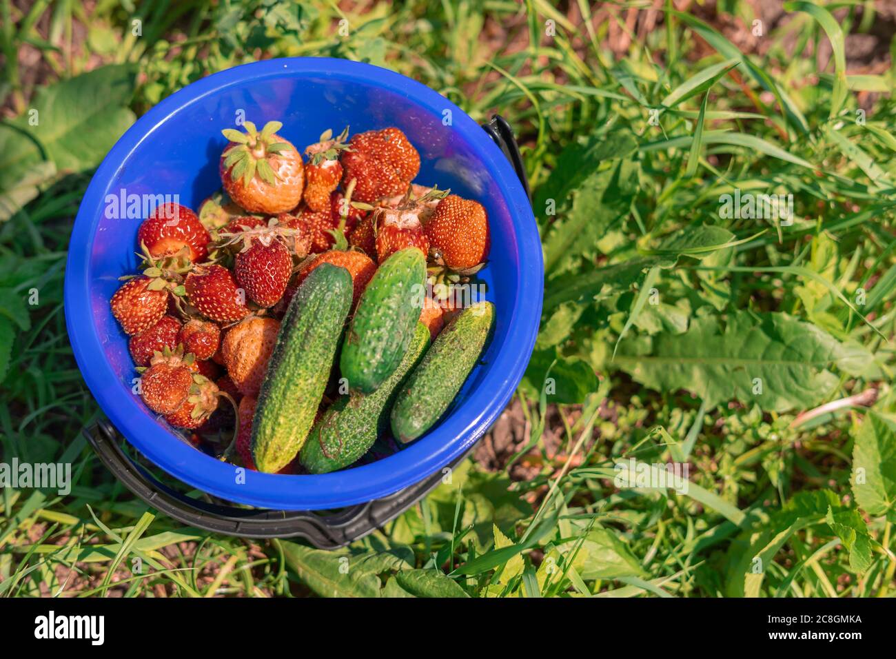 Top view on bucket hi-res stock photography and images - Alamy