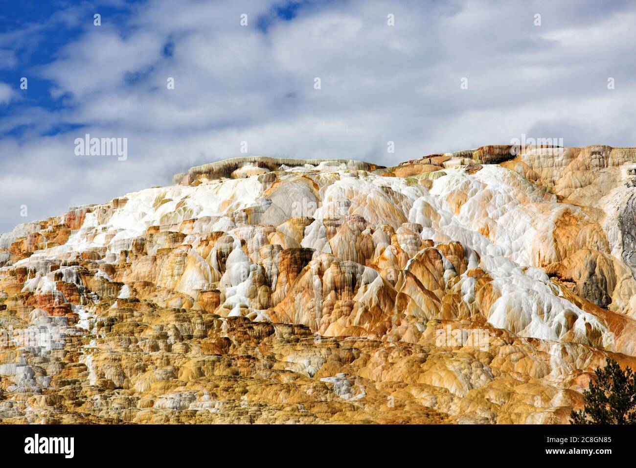 The travertine terraces of Mammoth Hot Springs inYellowstone National ...