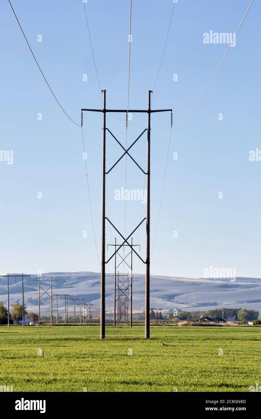 Rows of electric pylons, or power poles, with high voltage transmission ...