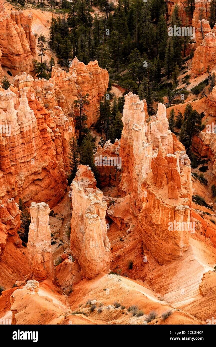 Bryce canyon national park visitor center hi-res stock photography and ...