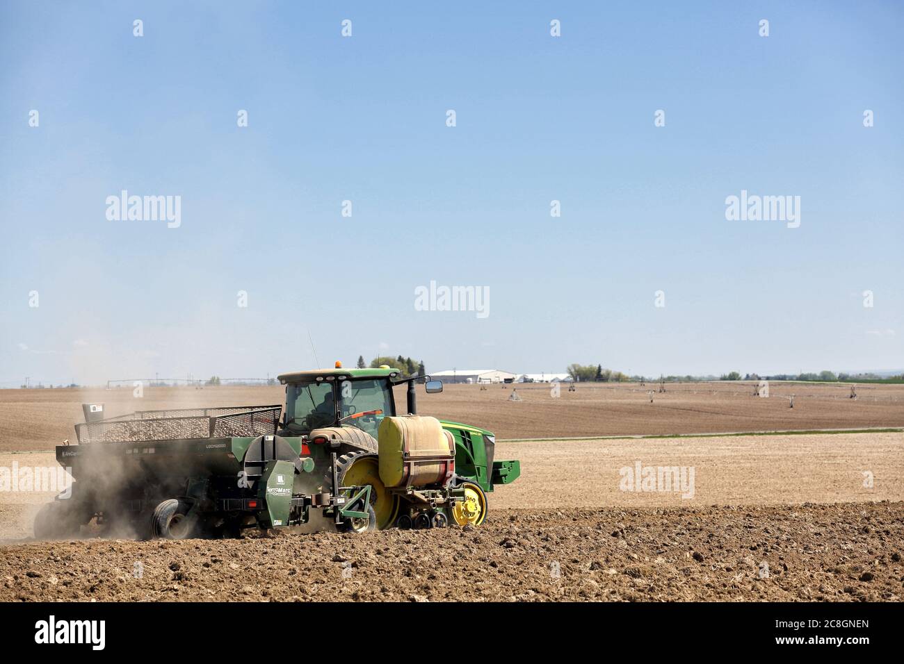 A farmer using a tractor and planting implement, plants potatoes in the ...