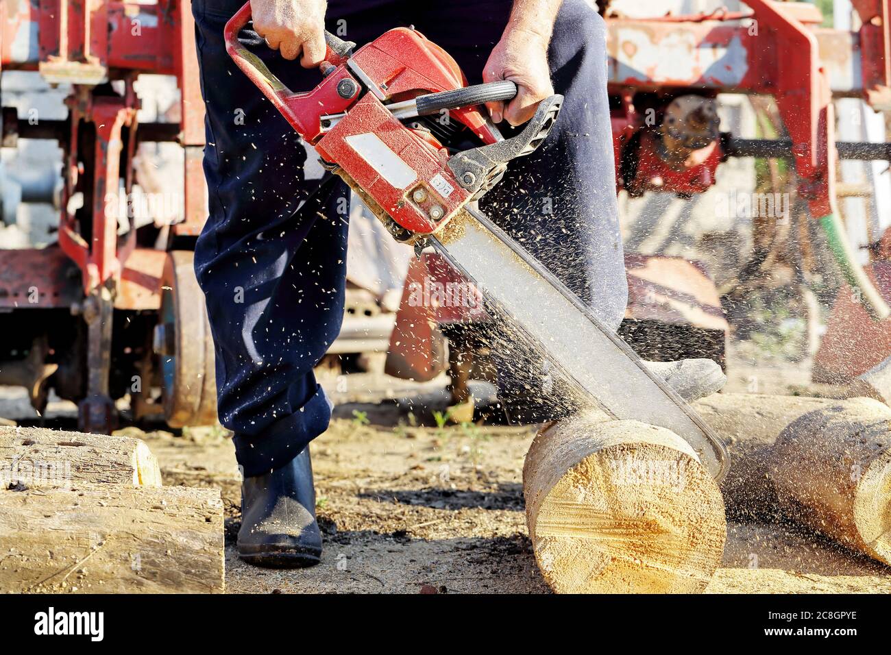 Tree cutting machine hi-res stock photography and images - Alamy