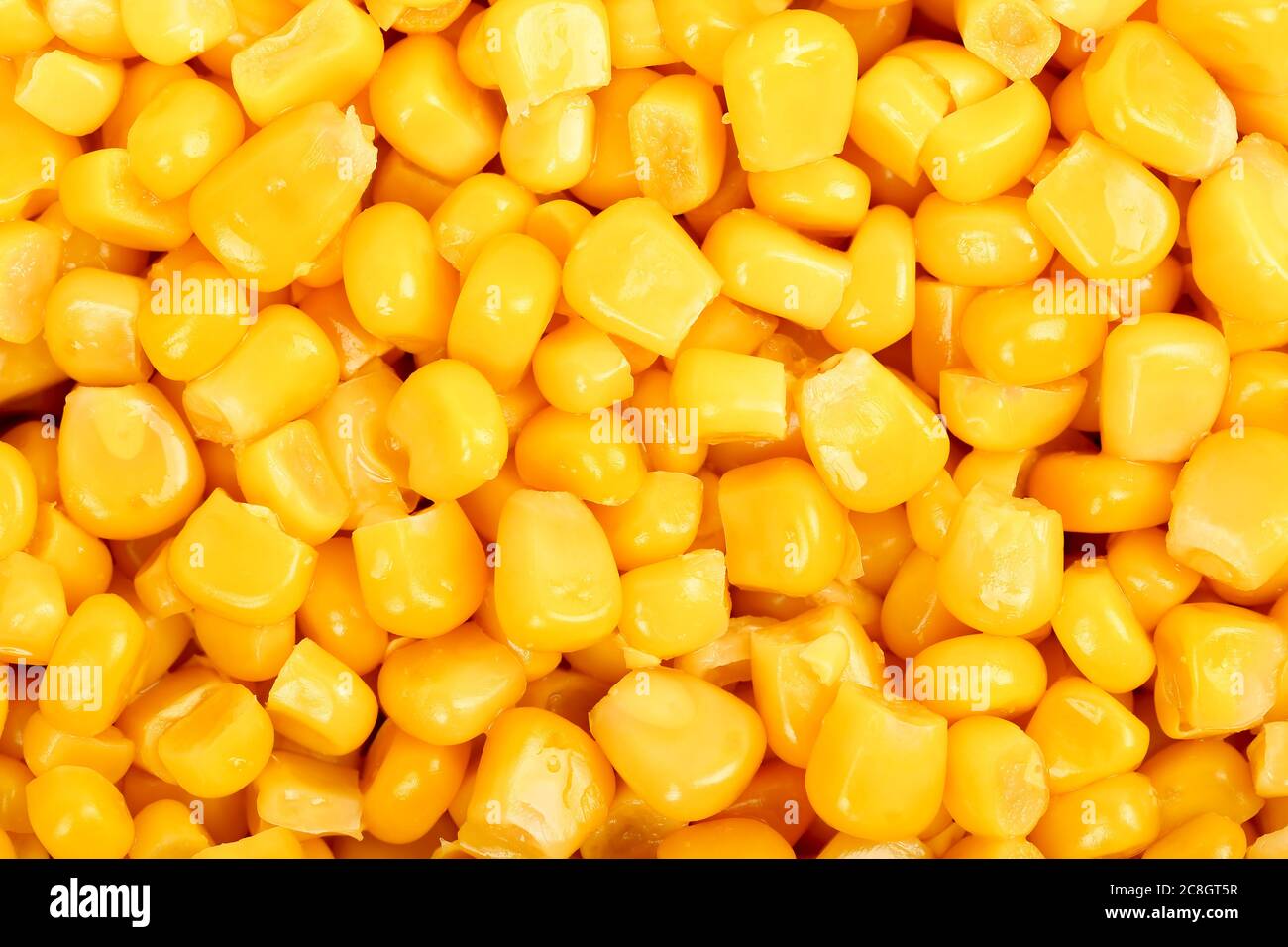 closeup of sweet corn for backgrounds Stock Photo - Alamy