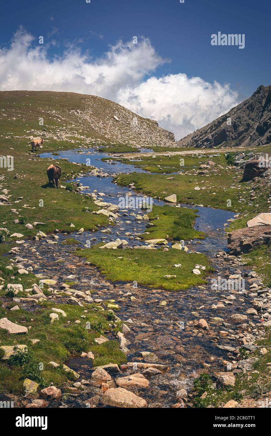 Ter river hi-res stock photography and images - Alamy