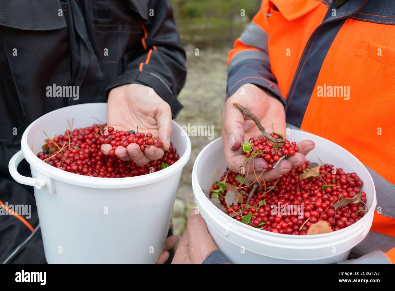 Man two bucket in both hands hi-res stock photography and images - Alamy