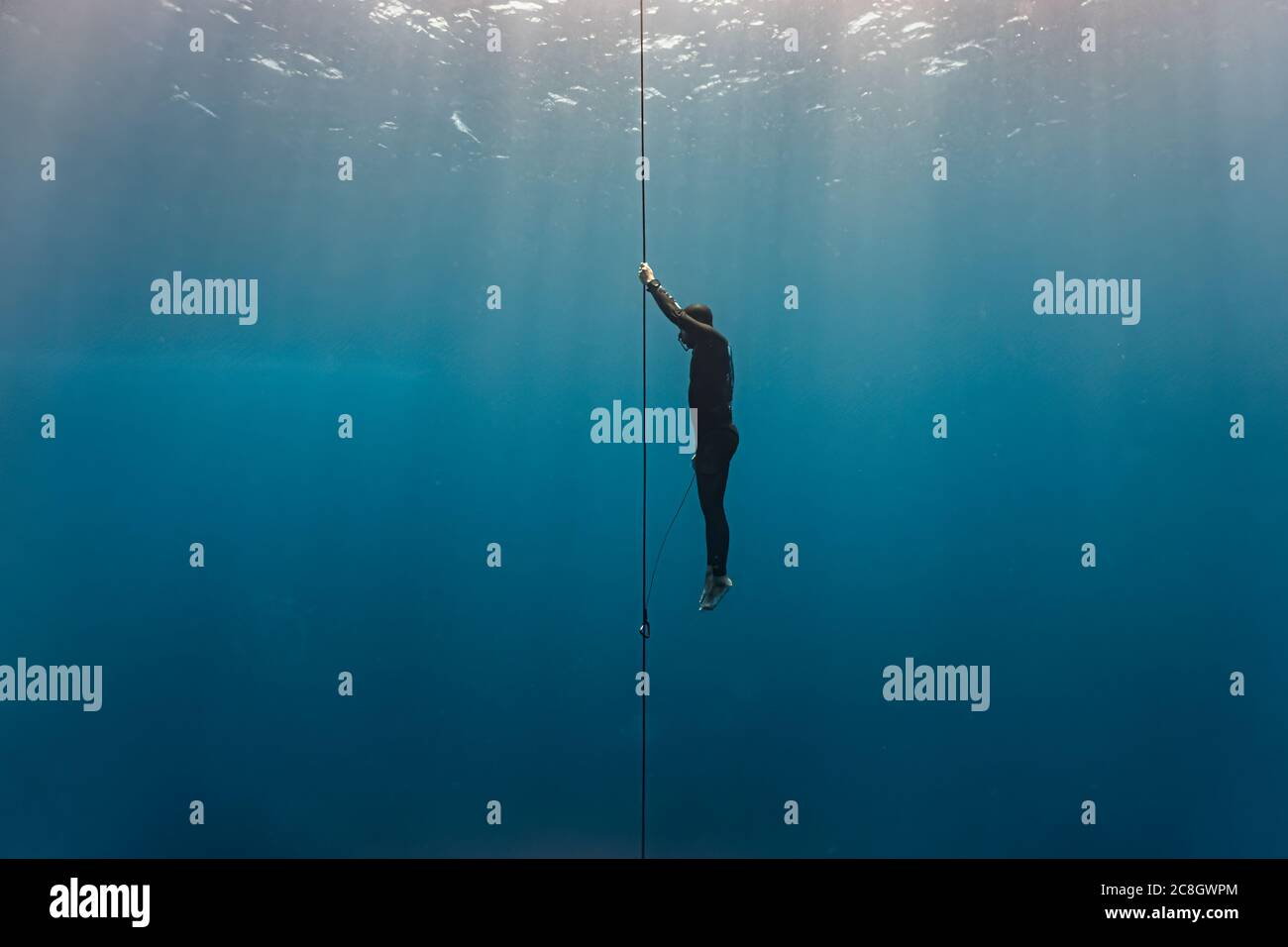 Free diver ascends to the surface by pulling the dive line Stock Photo ...