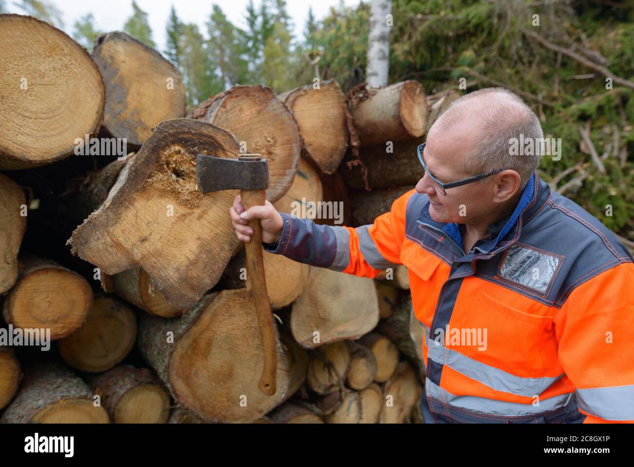 Portrait of mature handsome man checking chopped wood with hole in ...
