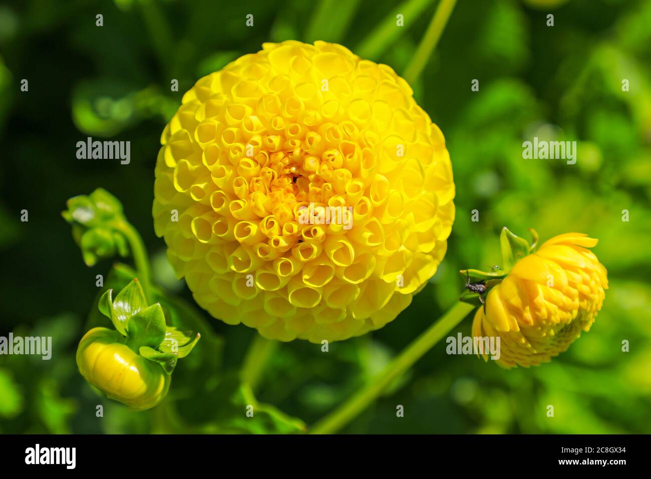 Gitty hi-res stock photography and images - Alamy