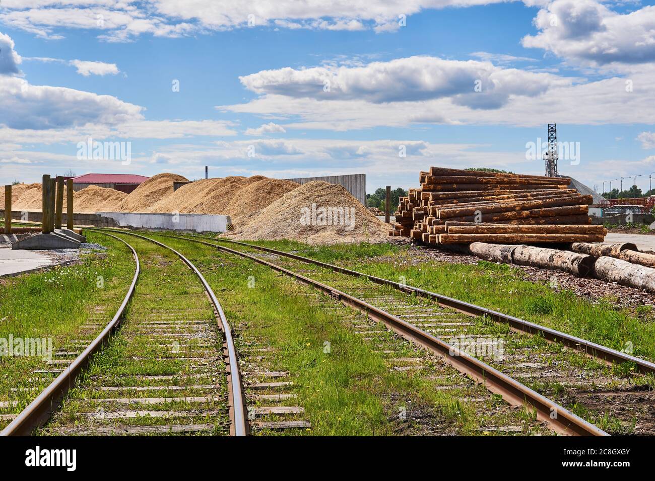 yard of a wood processing factory with logs, mountains of sawdust and ...