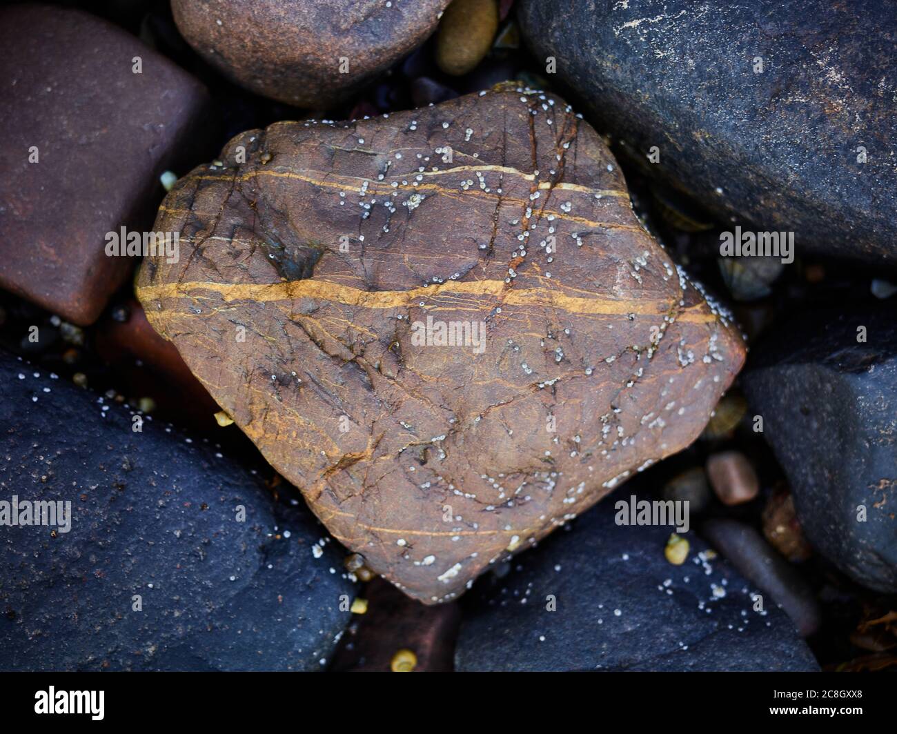 Cove large hi-res stock photography and images - Alamy