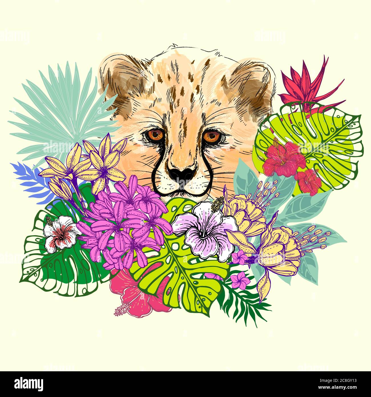 Poster / card / composition of hand drawn sketch style cheetah with ...