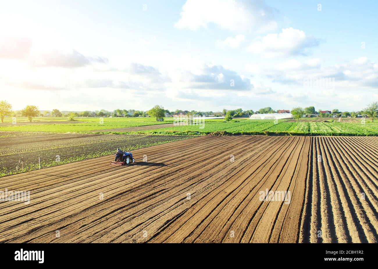 Farmer on a tractor cultivates land after harvesting. Loosening ...