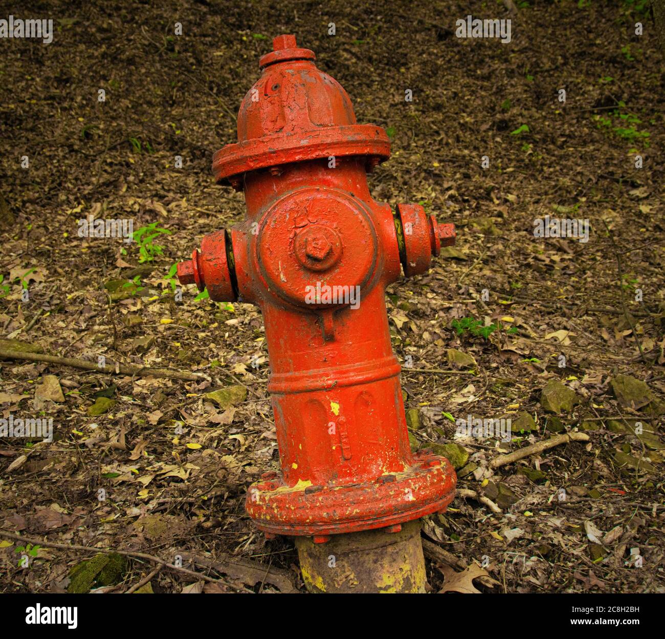 Red Fire Hydrant Leaning to the Side Surrounded By Dead Leaves ...