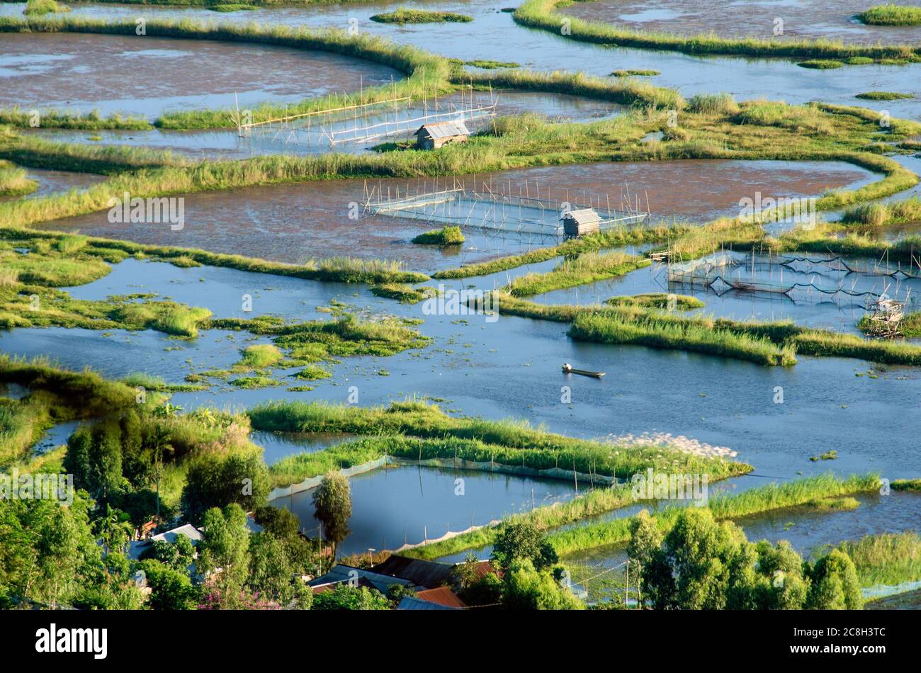 green landscape and loktak lake Stock Photo - Alamy