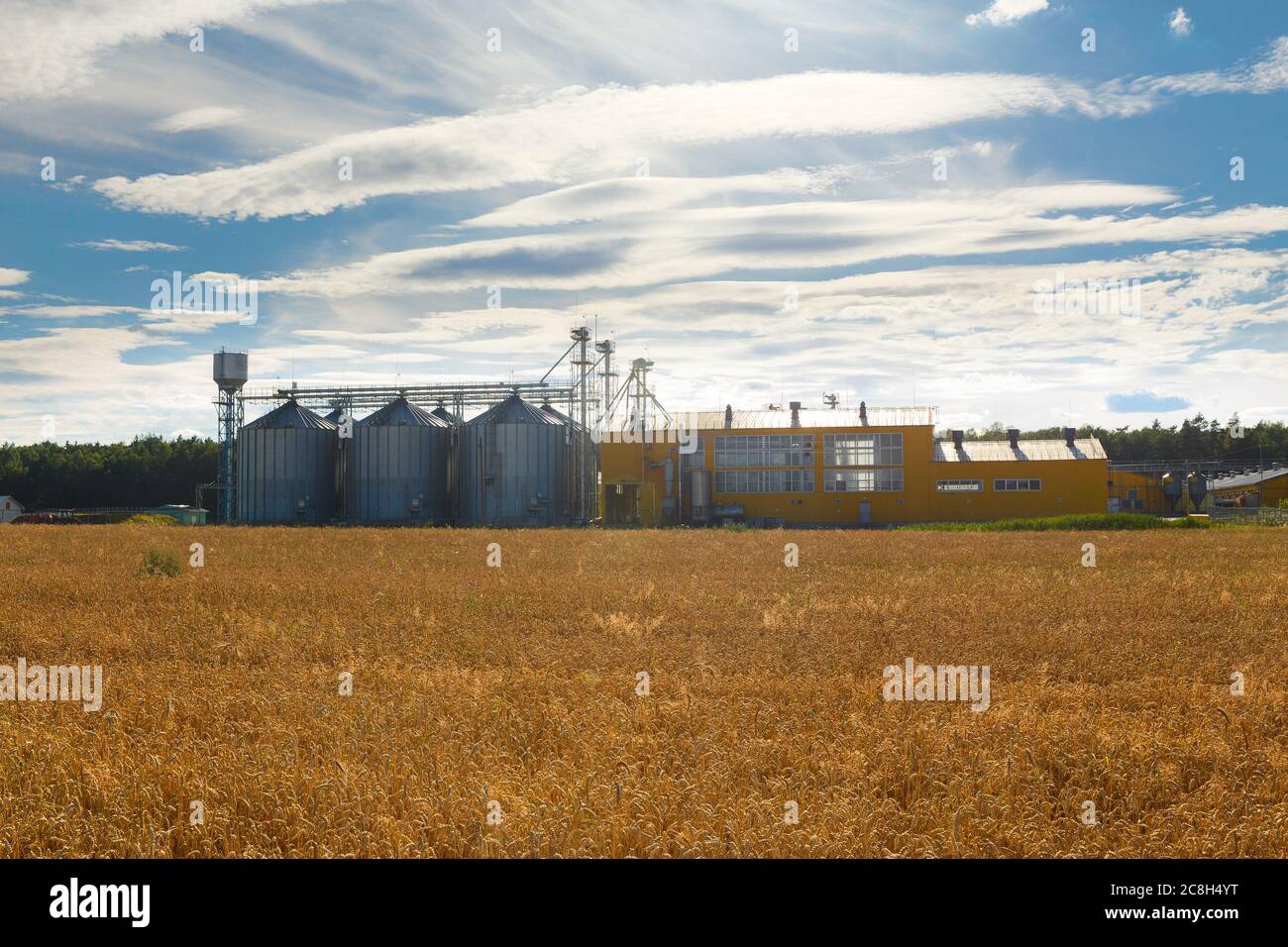 Agricultural industrial complex for cleaning and drying grain in wheat ...