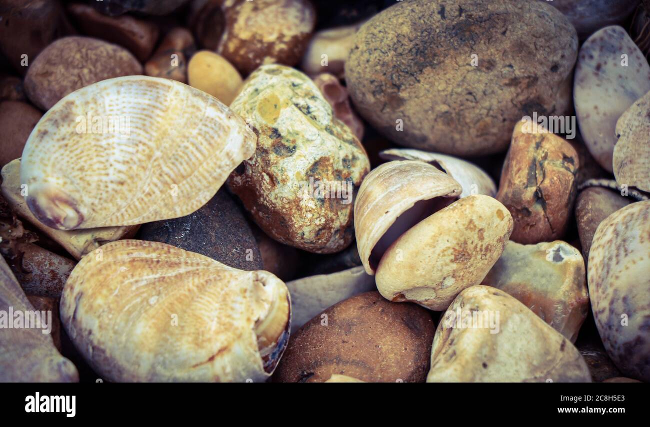 Colorful stones on an English beach Stock Photo - Alamy