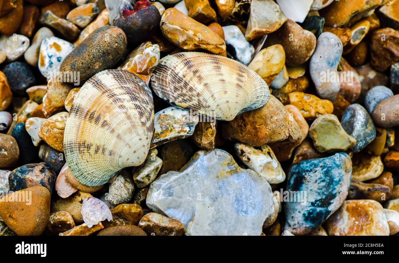 Colorful stones on an English beach Stock Photo - Alamy