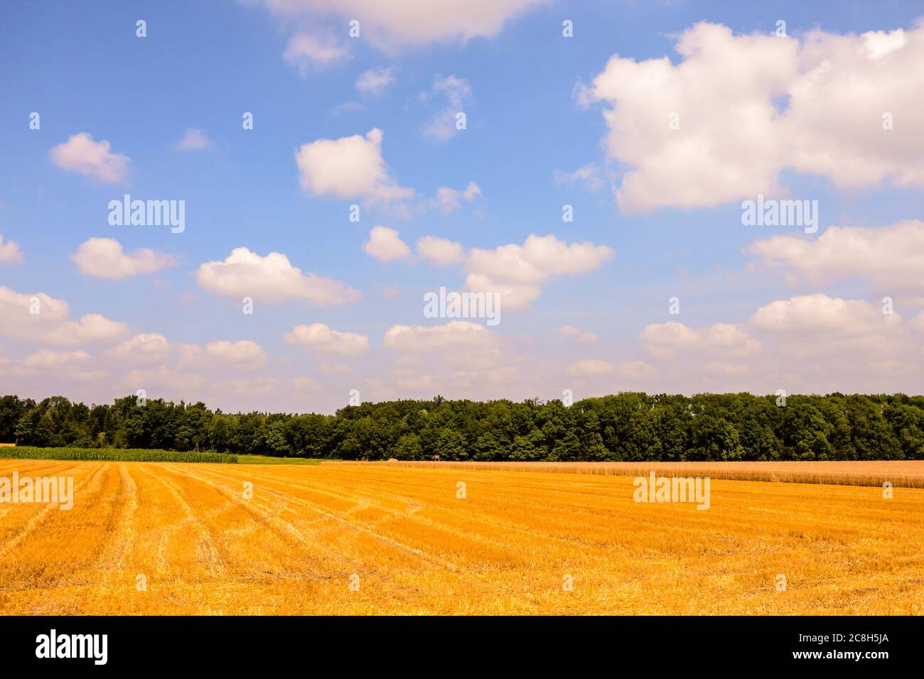 Photo Picture View of Cultivated Field in the countryside Stock Photo ...