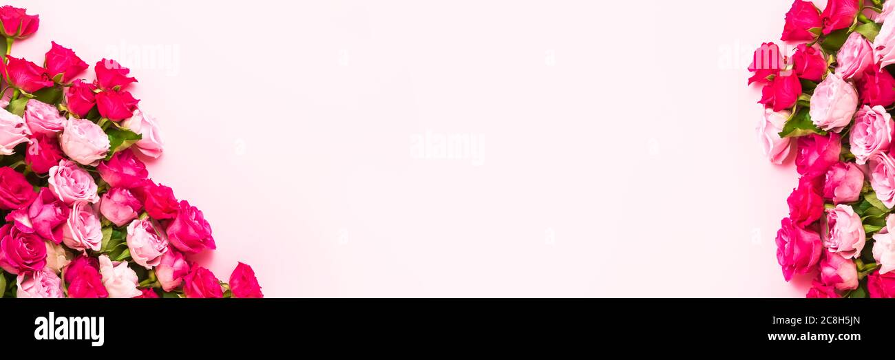 Pink Holiday banner. Bouquet of pink and red roses on pink background ...
