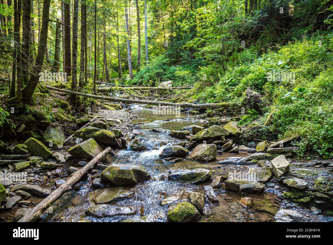 The mountain river in Yaremche, Carpathians, Ukraine Stock Photo - Alamy