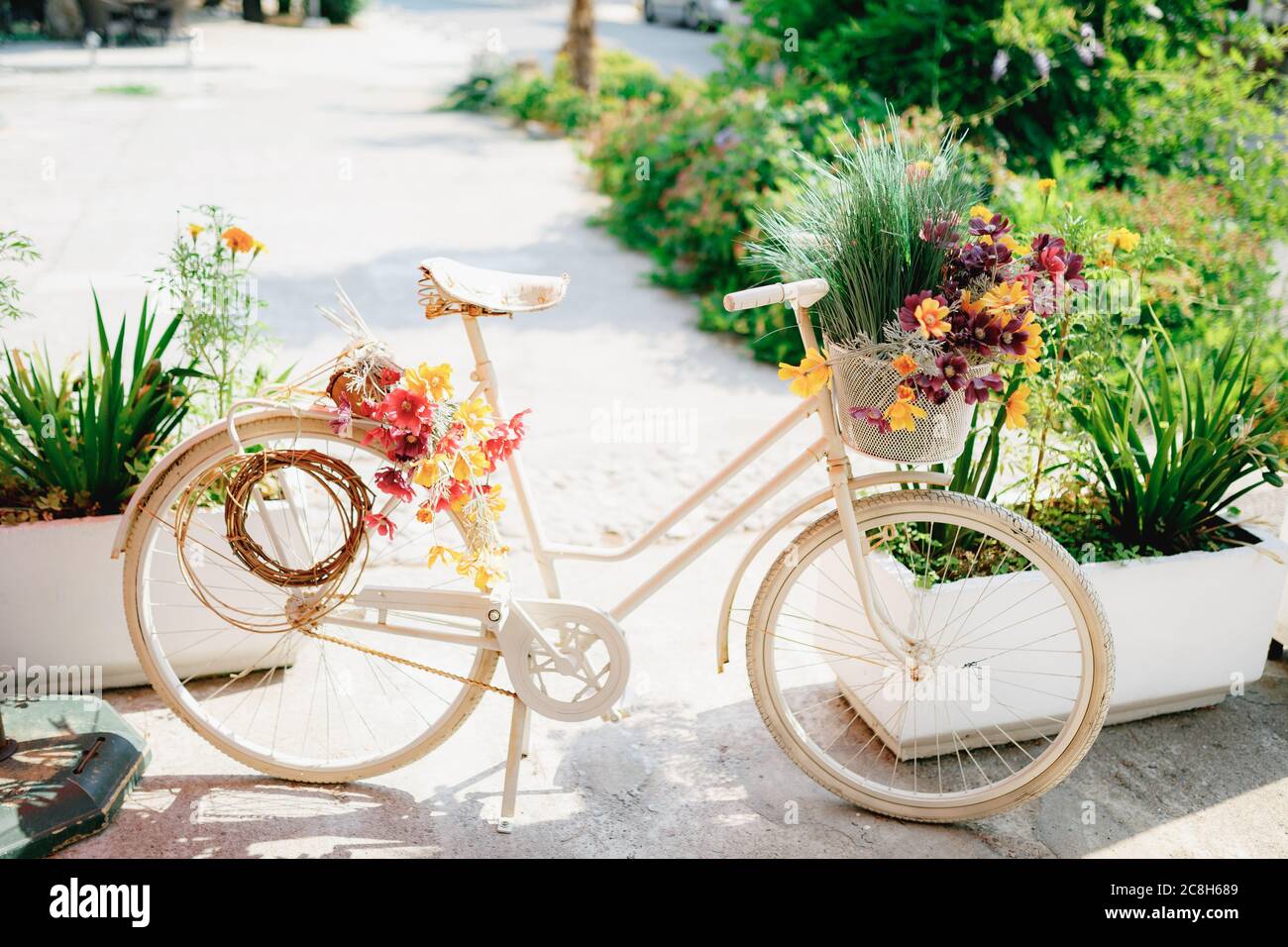 Decorative bike with bright colors on white asphalt Stock Photo - Alamy